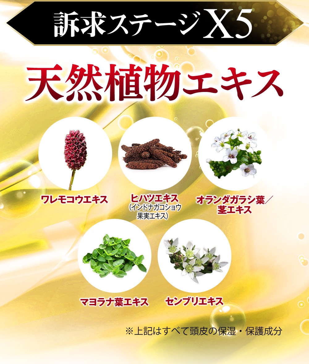 プレミアムdeeperX5