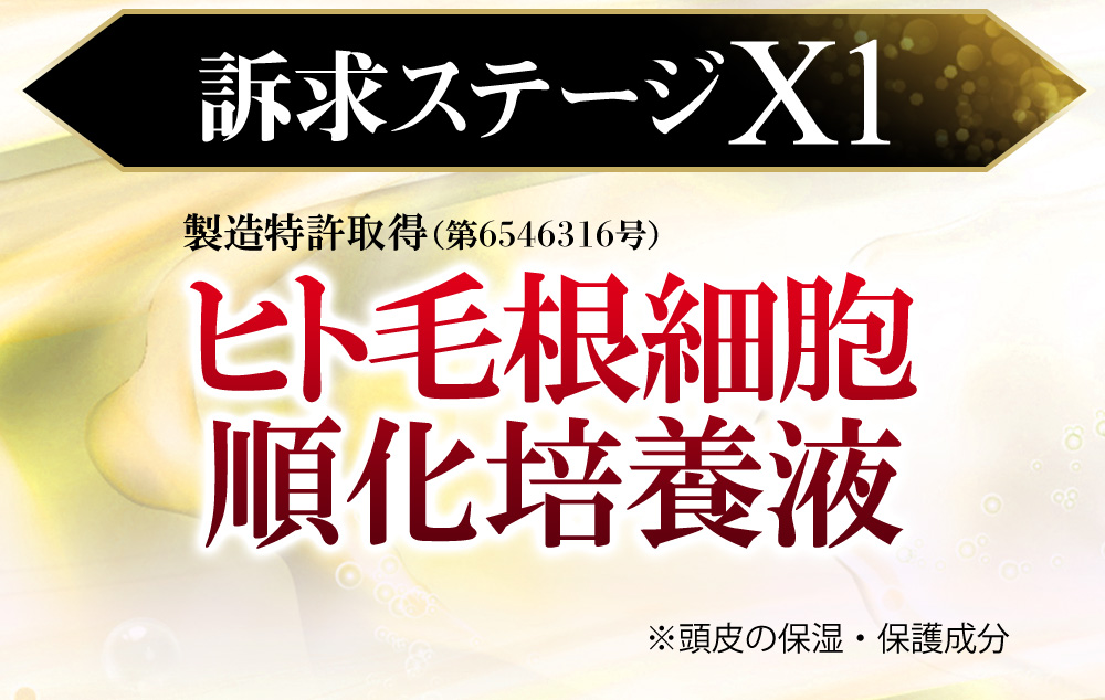 プレミアムdeeperX5